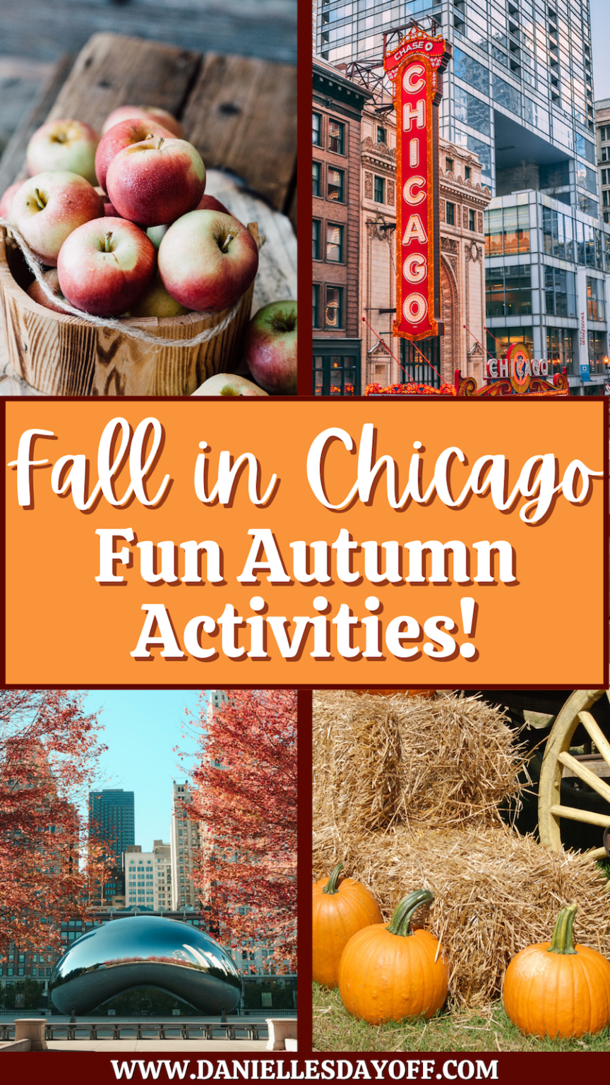 Fall in Chicago: 7 Activities To Do in Autumn!